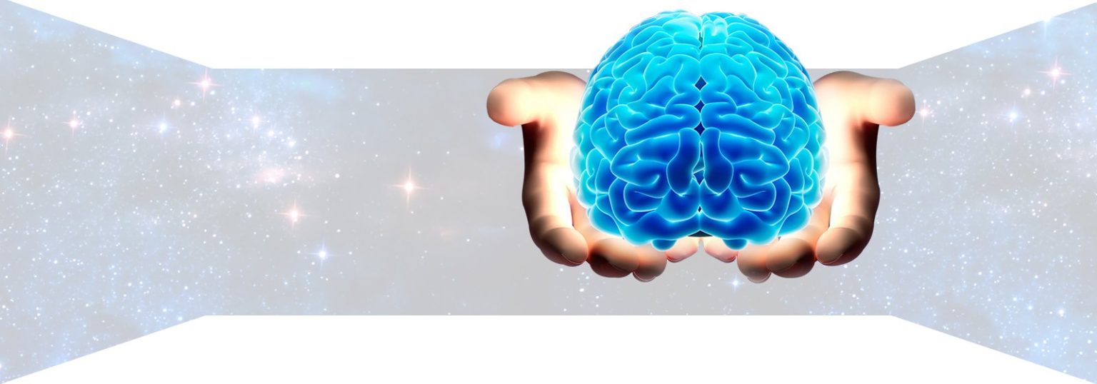 A Beginners Guide To Nootropics